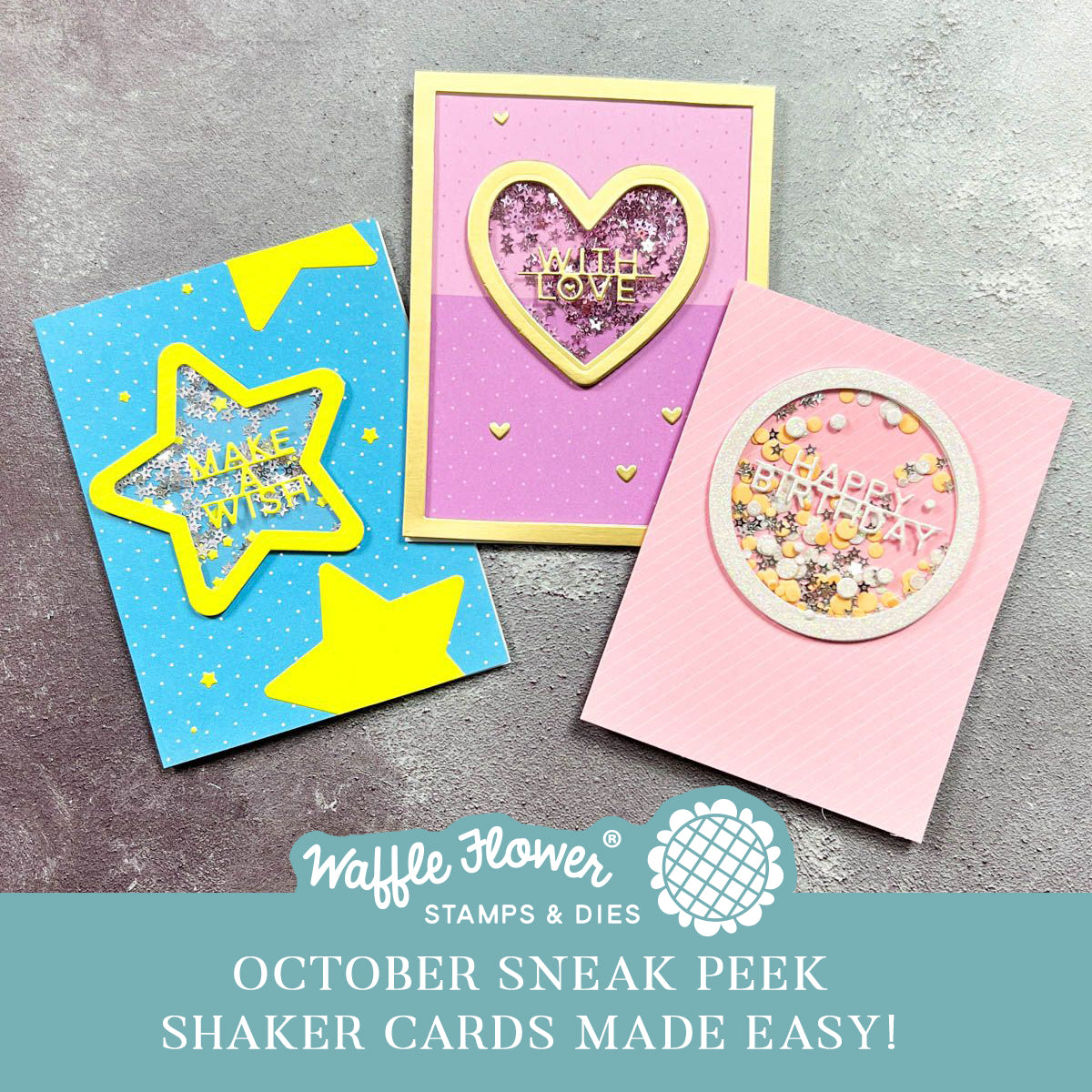 Intro to October 2021 Release - Circle Shakers – WaffleFlower.com